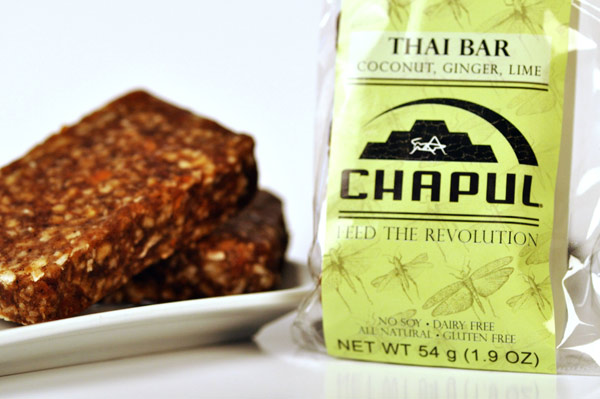 Eating 곤충 신생 기업