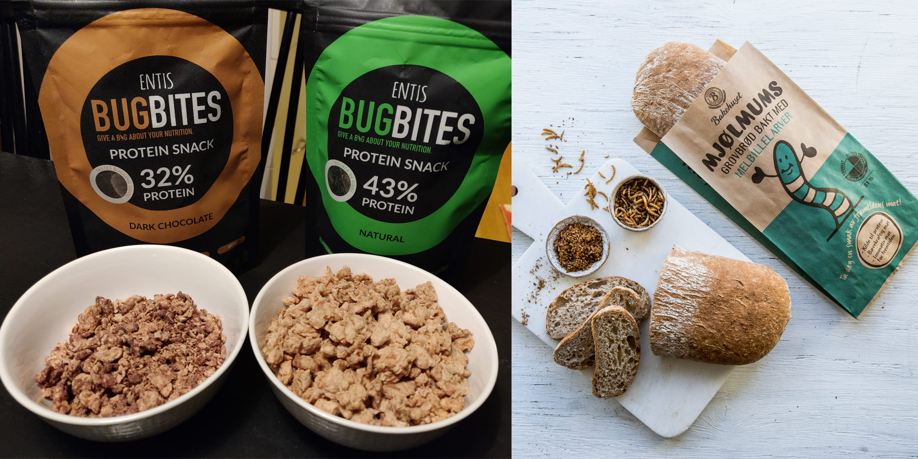 Future food now: Finnish Bugbites and Norwegian mealworm bread - Bug ...