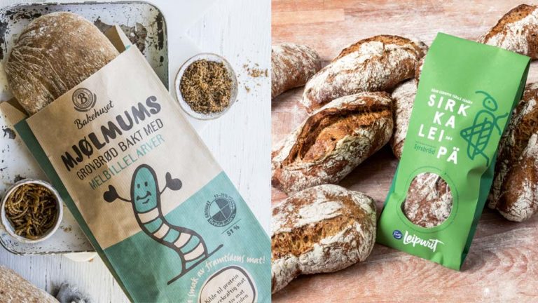 The big list of edible insect products! - Bug Burger - äta insekter!