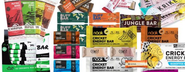 The big list of edible insect products! - Bug Burger - äta insekter!