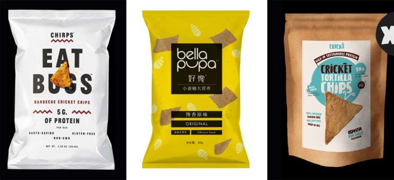 The big list of edible insect products! - Bug Burger - äta insekter!