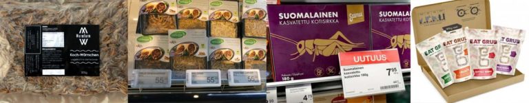 The big list of edible insect products! - Bug Burger - äta insekter!