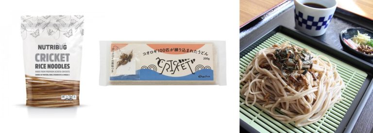 The big list of edible insect products! - Bug Burger - äta insekter!