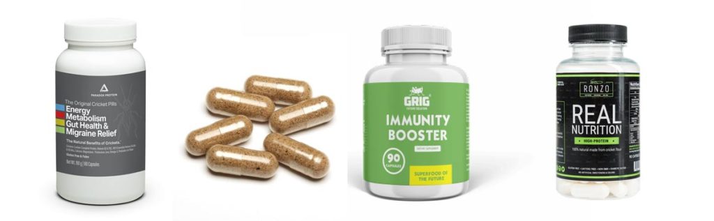 The big list of edible insect products! - Bug Burger - äta insekter!