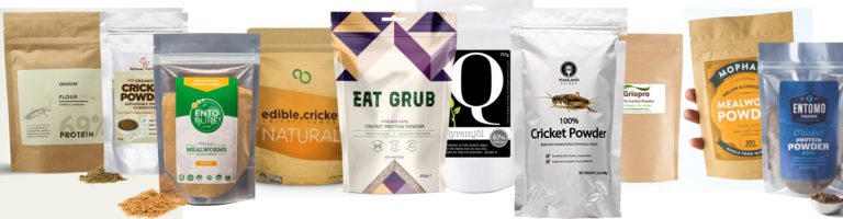 The big list of edible insect products! - Bug Burger - äta insekter!