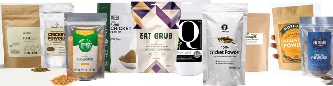 The big list of edible insect products! - Bug Burger - äta insekter!