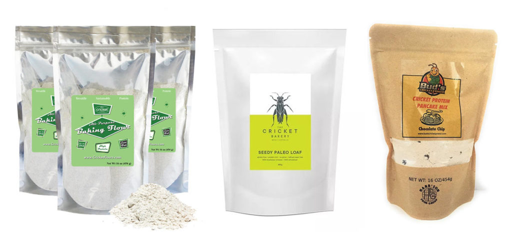 The big list of edible insect products! - Bug Burger - äta insekter!