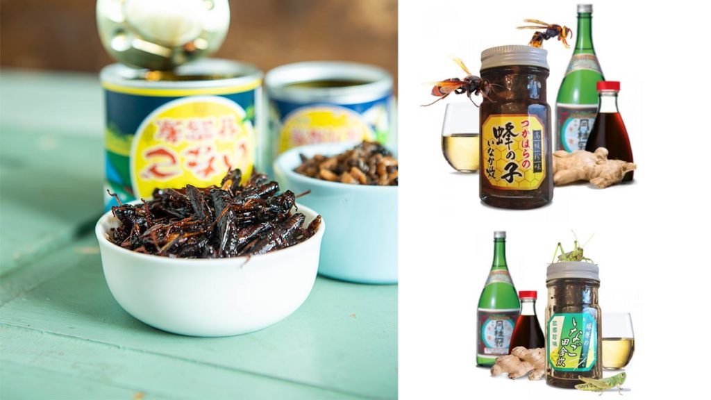 The big list of edible insect products! - Bug Burger - äta insekter!