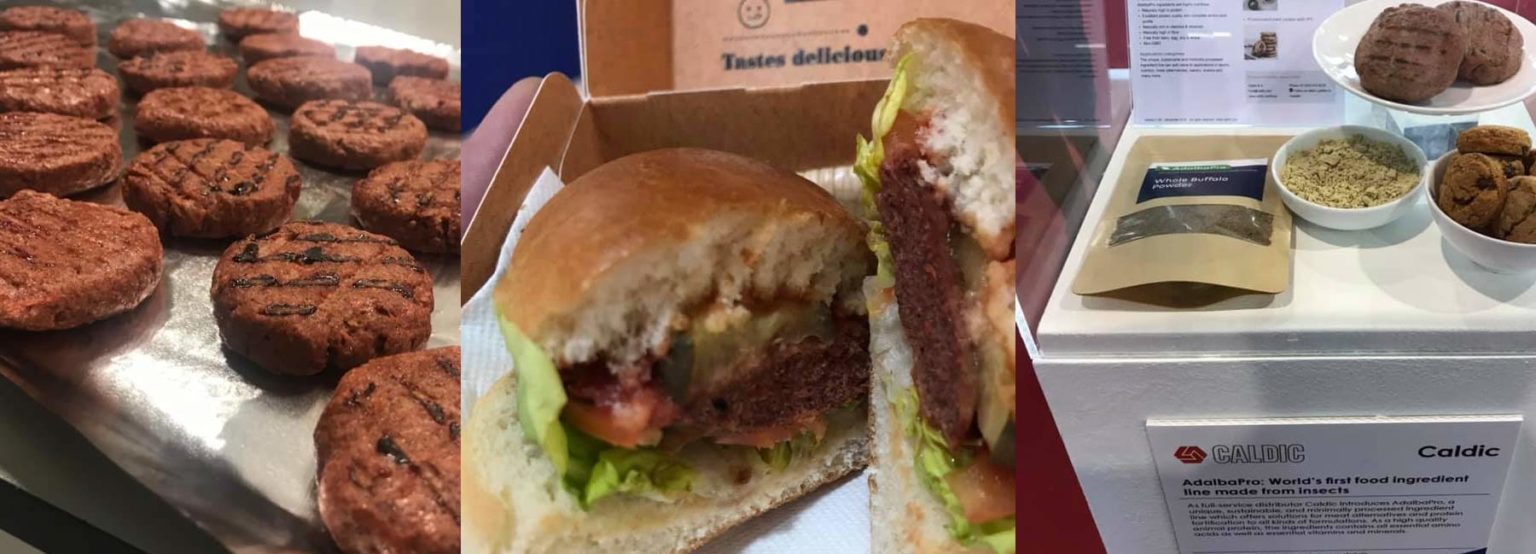 2020 - The year of the Bug burger and edible insects in Europe? - Bug ...