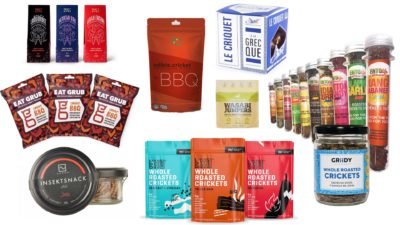 The big list of edible insect products! - Bug Burger - äta insekter!