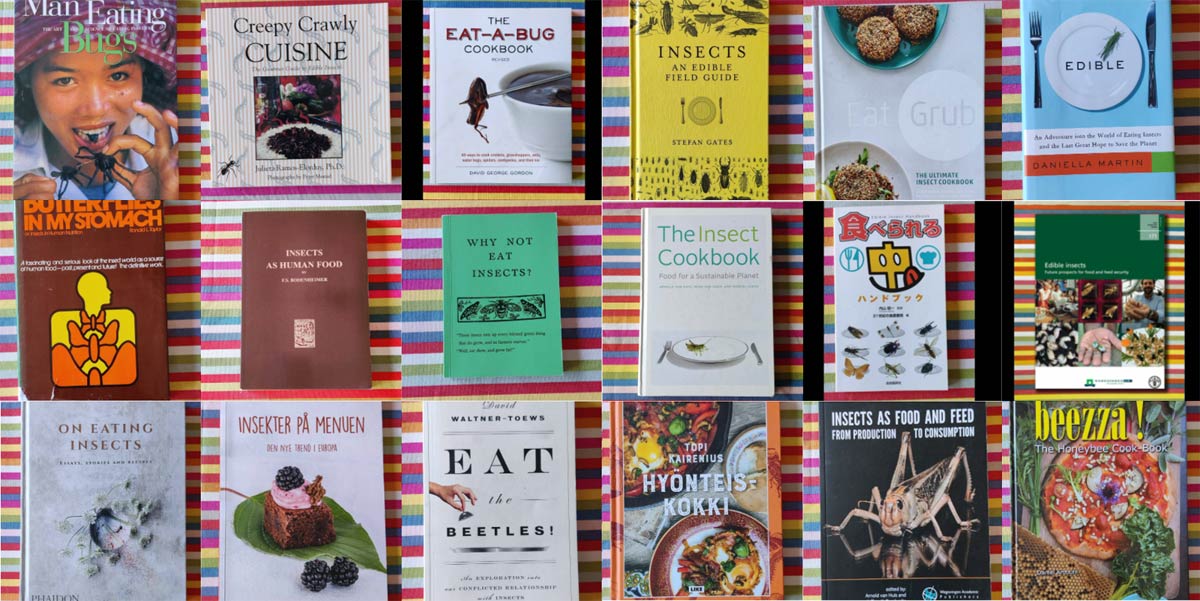 The edible insects book parade - Bug Burger - äta insekter!