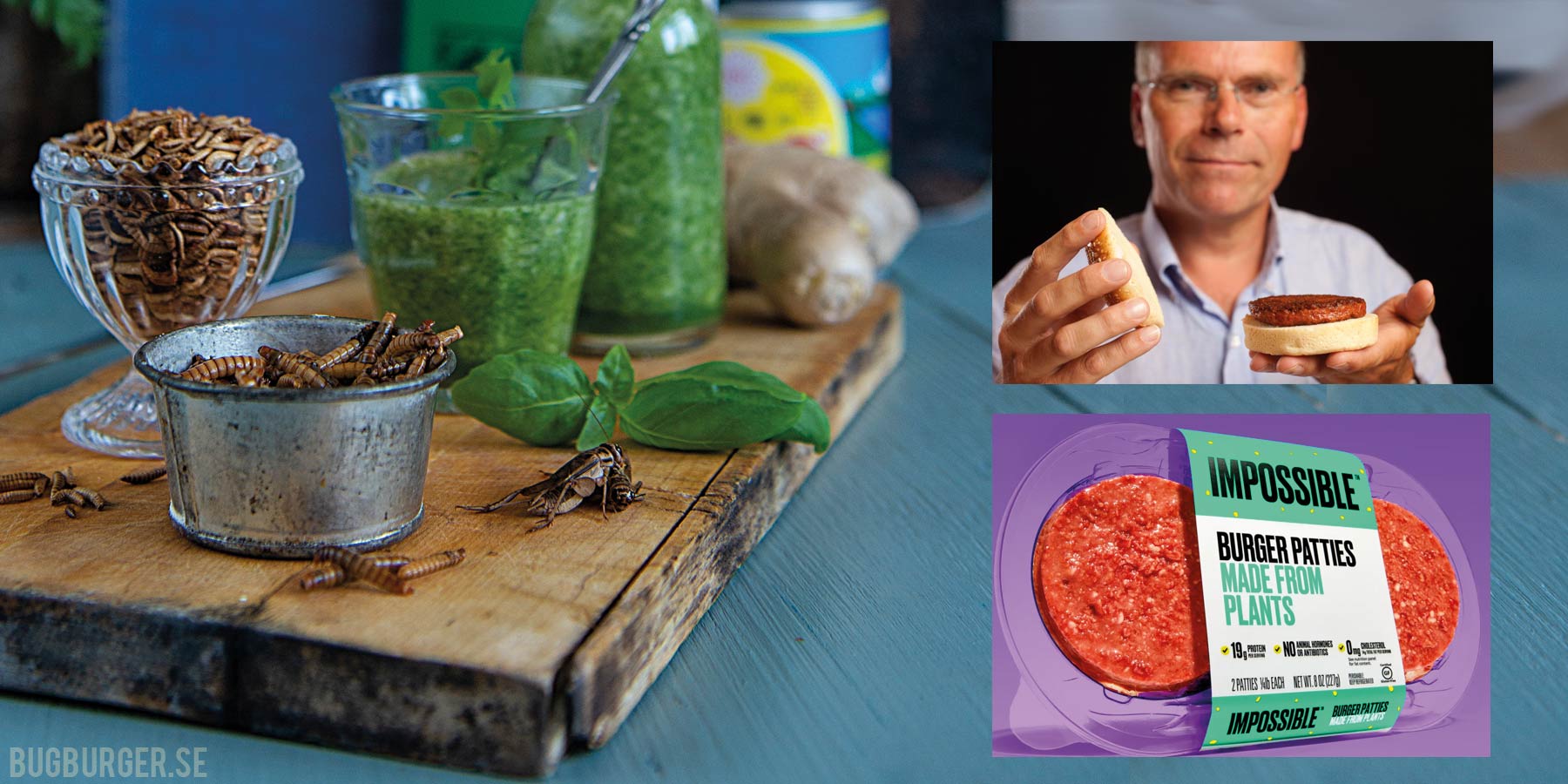 The way forward: This is how the edible insect industry can be ...