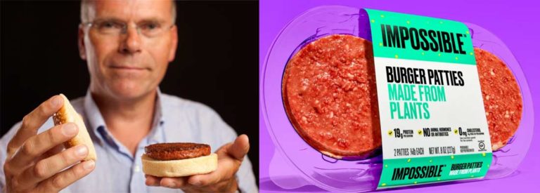 The way forward: This is how the edible insect industry can be ...